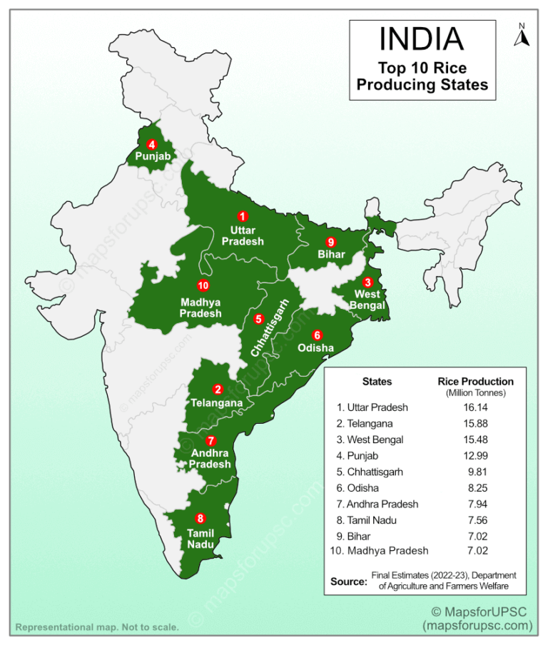 The diagonal division: Rice vs. Roti in Indian culinary
